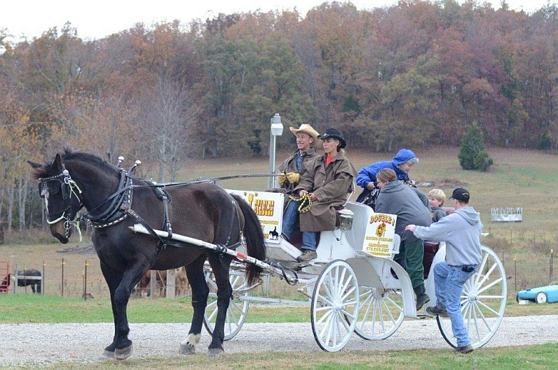 DoubleJStables.com - Double J Stables and Horsemen's Campground Mammoth ...